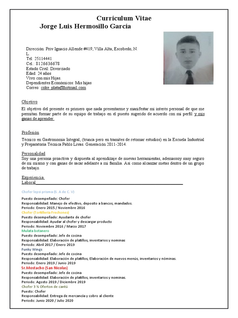 CV Jorge Hermosillo | PDF