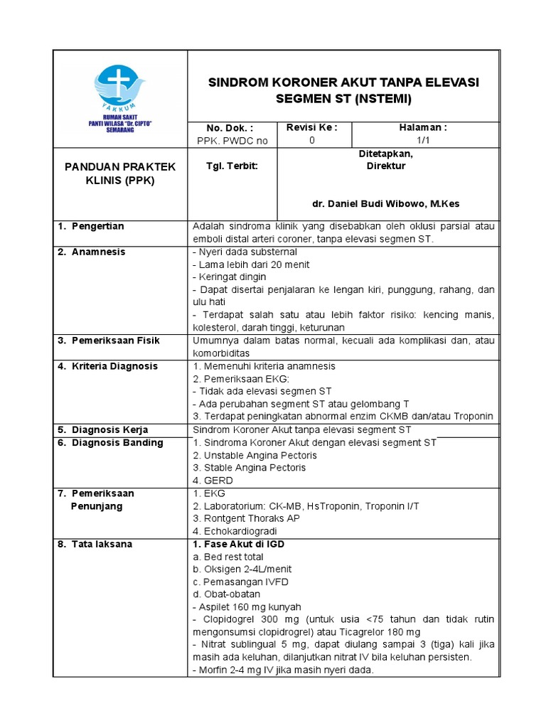 PPK Nstemi 2022 | PDF