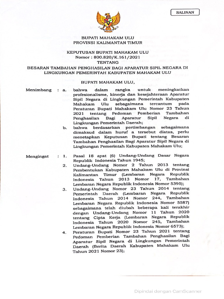 SK Bupati TPP PNS | PDF