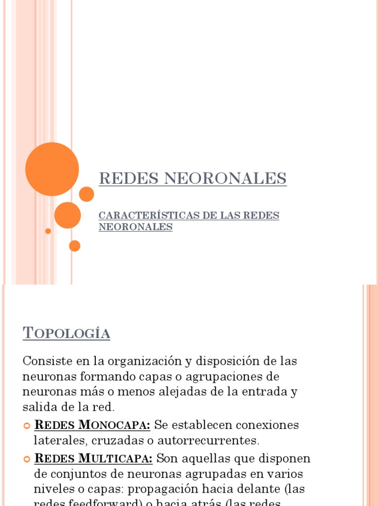 Caracteristicas de Las Redes Neoronales | PDF | Neurona | Red neuronal ...