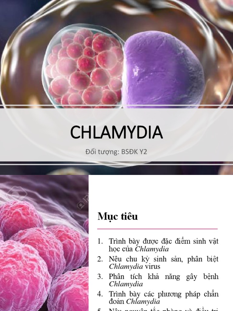 4.3. CHLAMYDIA ppt | PDF