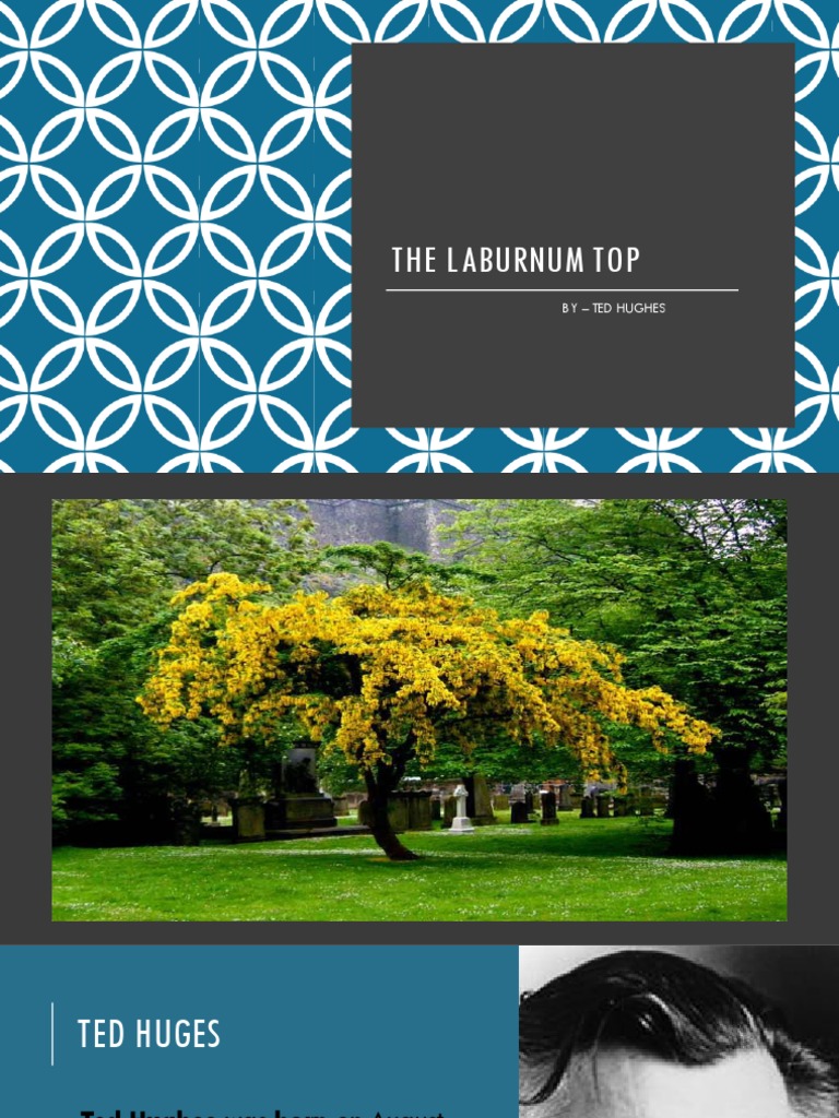 P PT On Tthe Laburnum Top - From Links | PDF