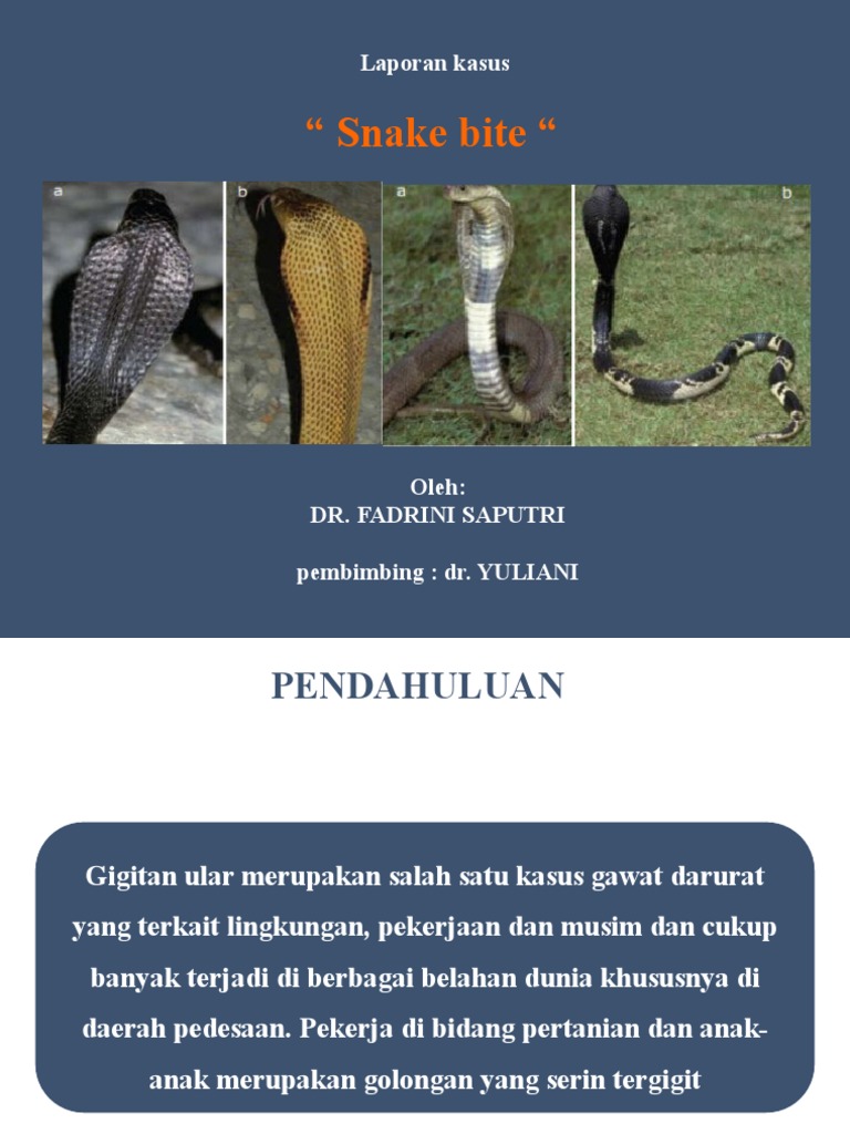 Snake Bite | PDF