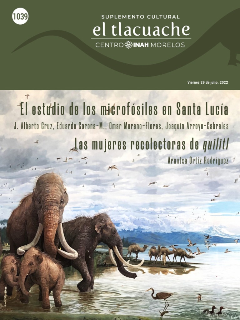 El estudio de los microfósiles en Santa Lucía y su importancia para la ...