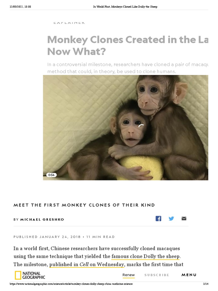 In World First, Monkeys Cloned Like Dolly The Sheep | PDF | Cloning | Biology