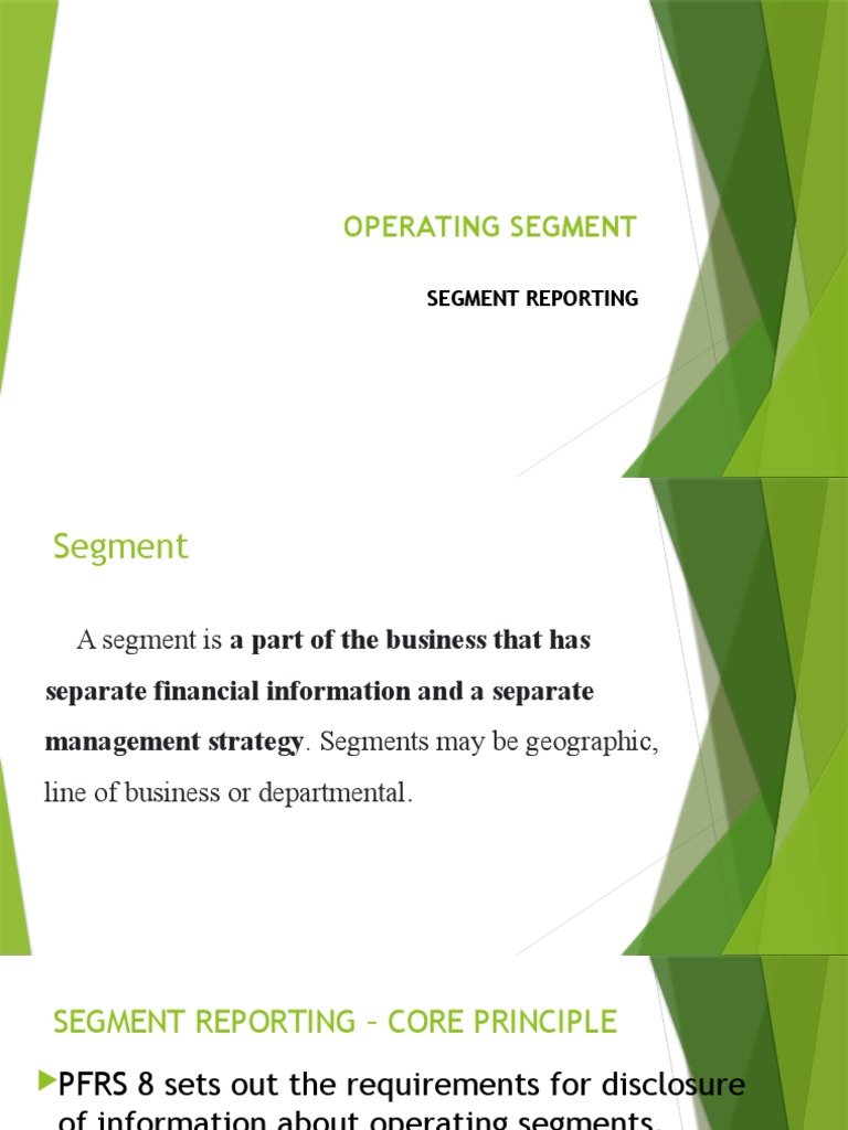 Segment Report | PDF | Expense | Business