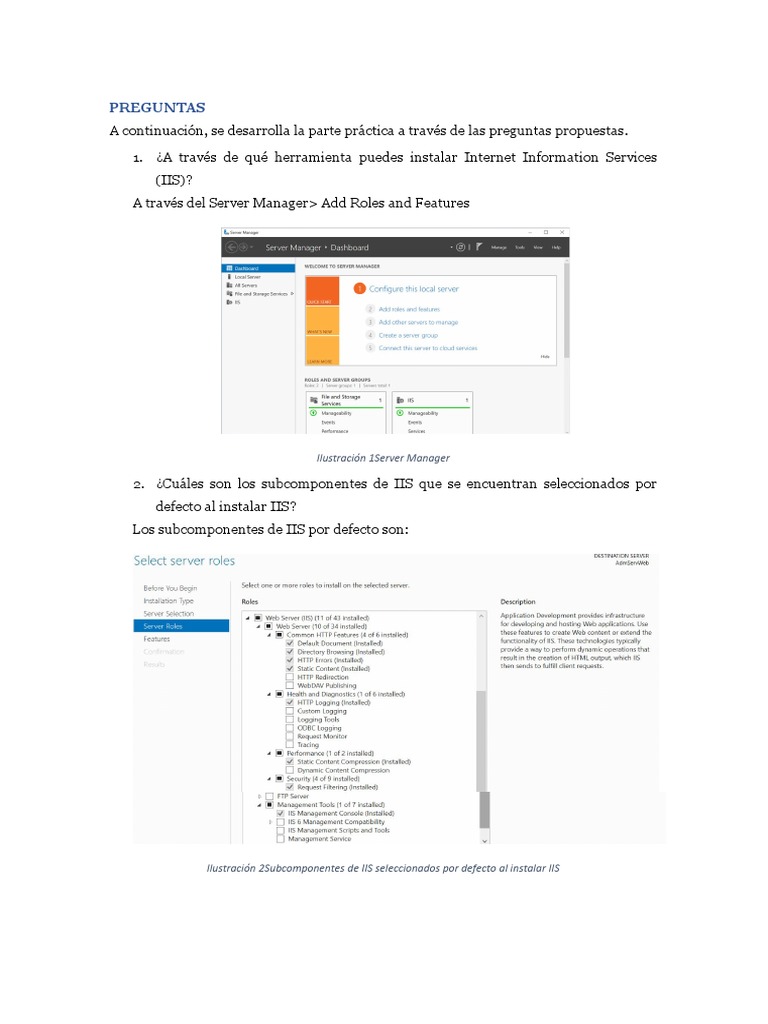 Preguntas | PDF | Protocolo de transferencia de archivos | Sitios web