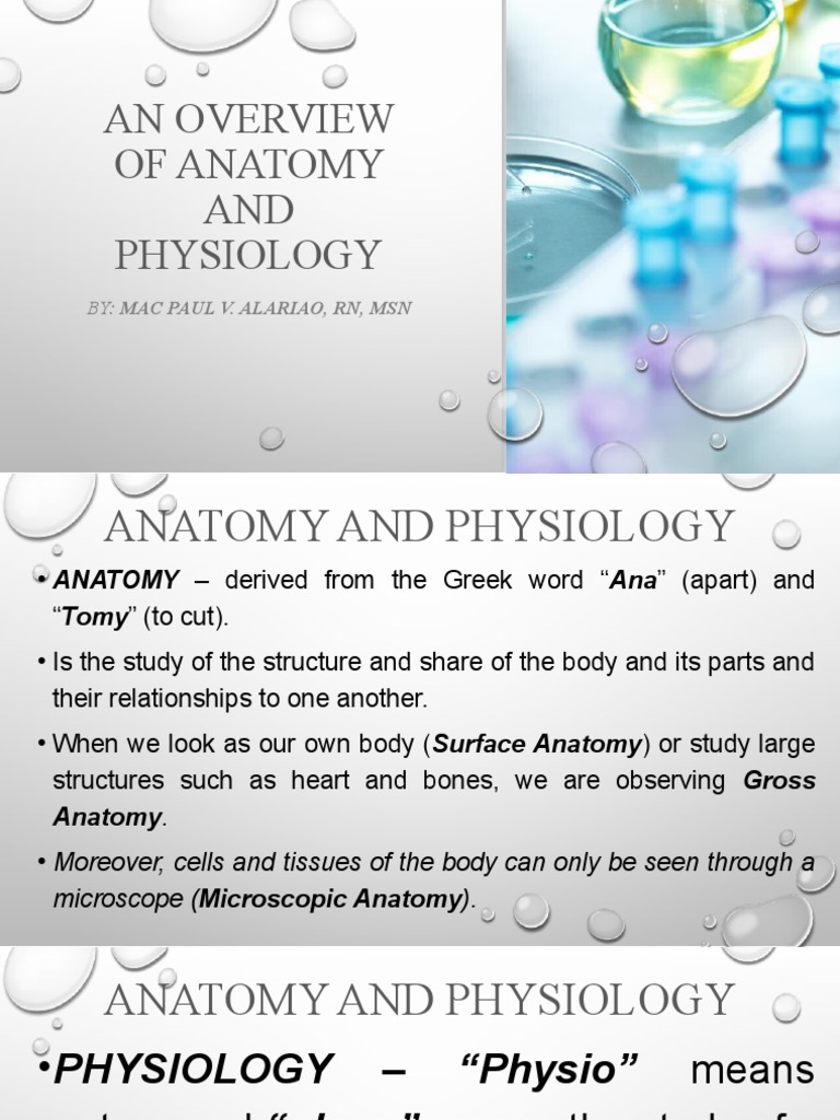 Anatomy and Physiology Overview | PDF | Homeostasis | Anatomical Terms ...