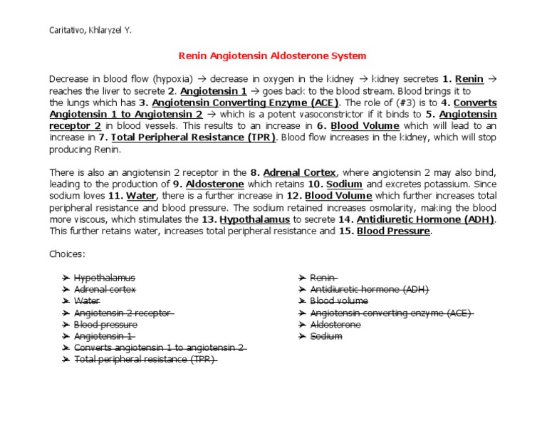 Renin Angiotensin Aldosterone System | PDF