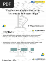 Clasificación de Defectos Óseos | PDF