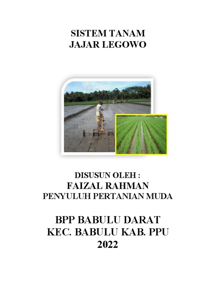 Sistem Tanam Jarwo | PDF