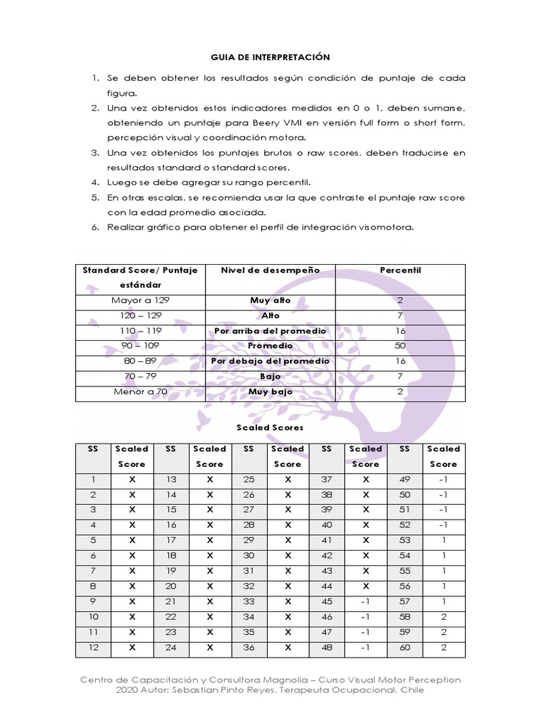 Guia de Interpretación VMI.pdf · Versión 1 | PDF