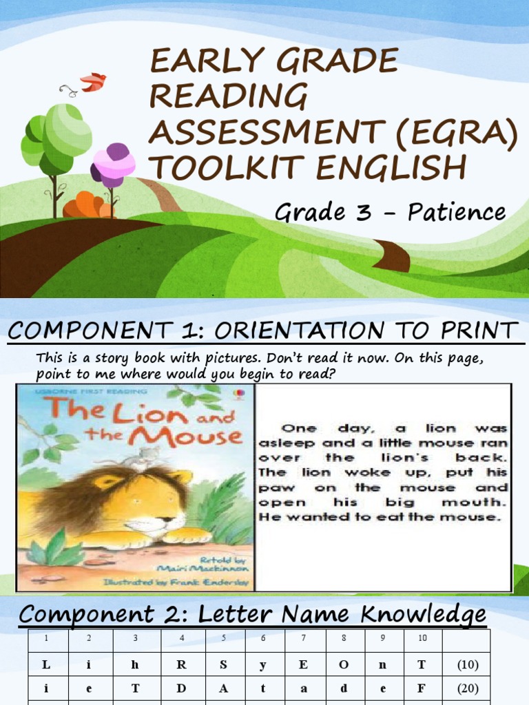 Early English Grade 3 Reading Assessment Toolkit | PDF