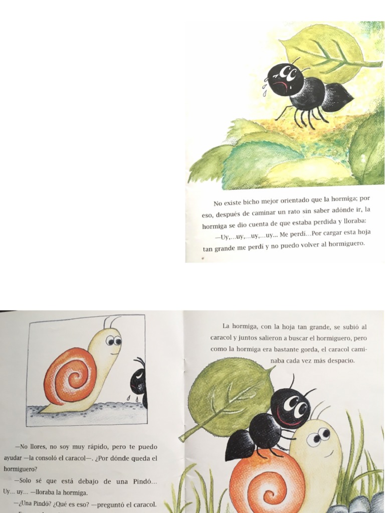 La pindó de Susana Olaondo | PDF