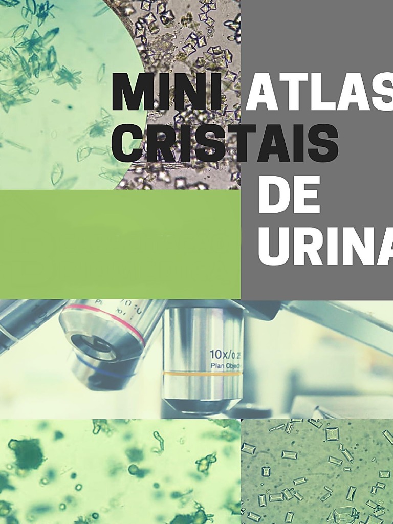 Mini Atlas de Urinalise | PDF
