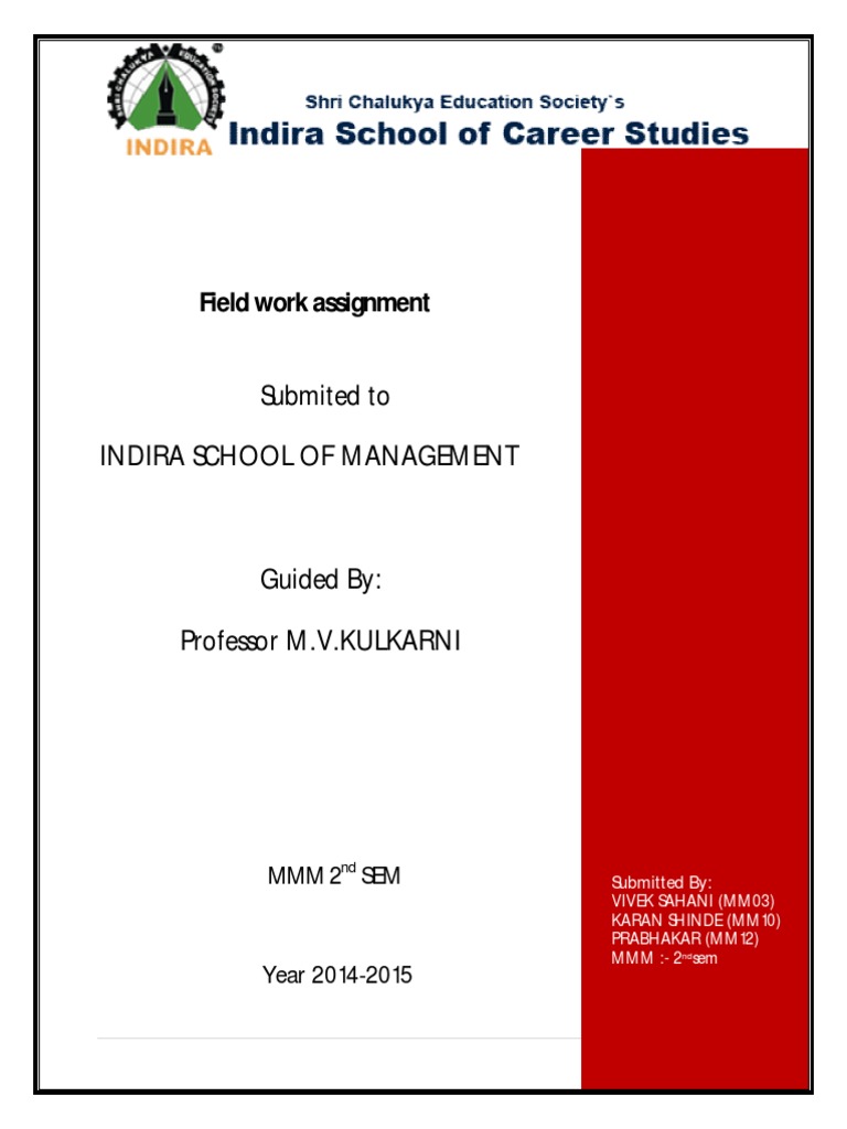 Amul Ice Cream | PDF | Survey Methodology | Sampling (Statistics)