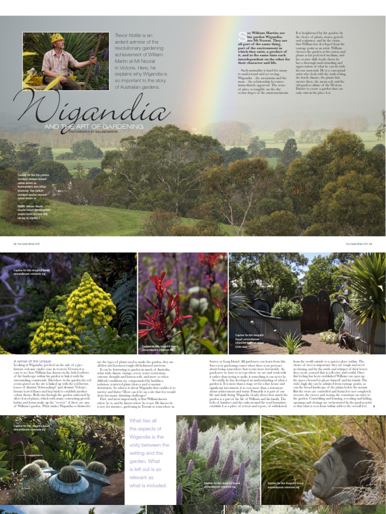 YGWIN10 052-057 Wigandia | PDF | Gardens | Hobbies