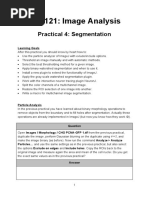 ImageJ Basic Intensity Quantification | PDF | Pixel | Computer Graphics