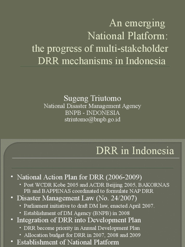 Indonesia's National Disaster Management Framework | PDF | Disaster ...