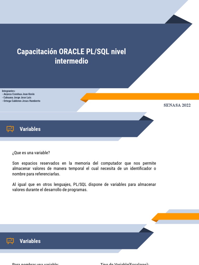 Capacitacion PLSQL | PDF | Pl / Sql | Variable (informática)