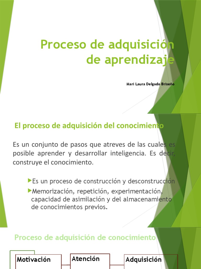 1 1 2 Proceso-Adquisicion-Del-Conocimiento | PDF | Aprendizaje | Aquisición de idioma