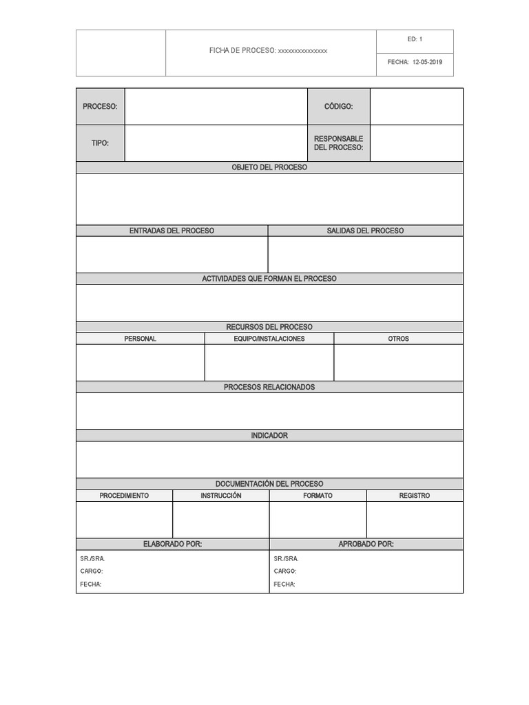 Formato Registro FICHA DE PROCESO ISO | PDF