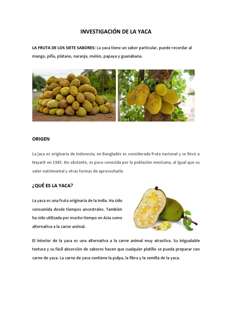 Investigación de La Yaca | PDF | Antioxidante | Vitamina C