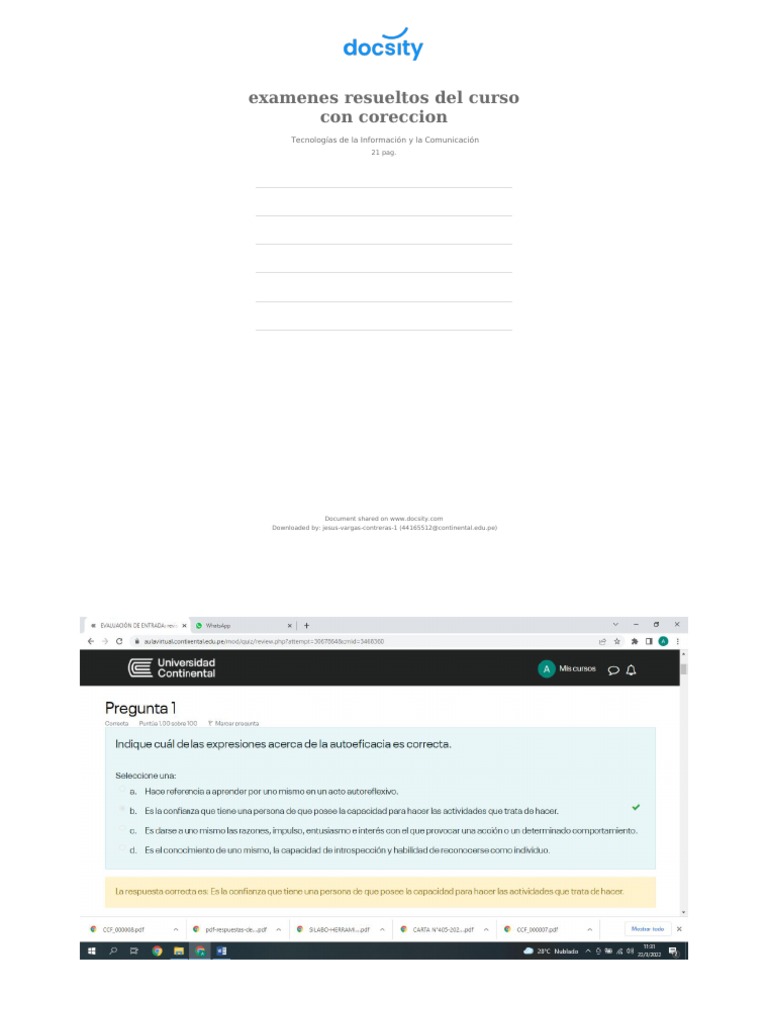 Examen de Entrada | PDF