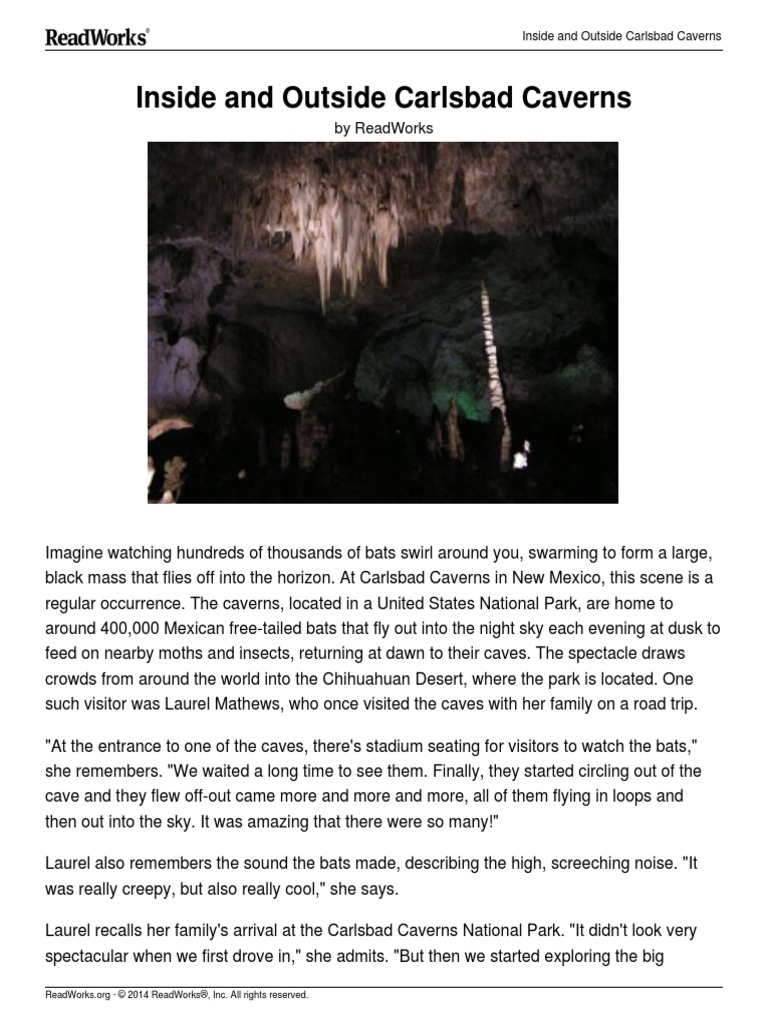 Inside and Outside Carlsbad Caverns | PDF | Cave | Limestone