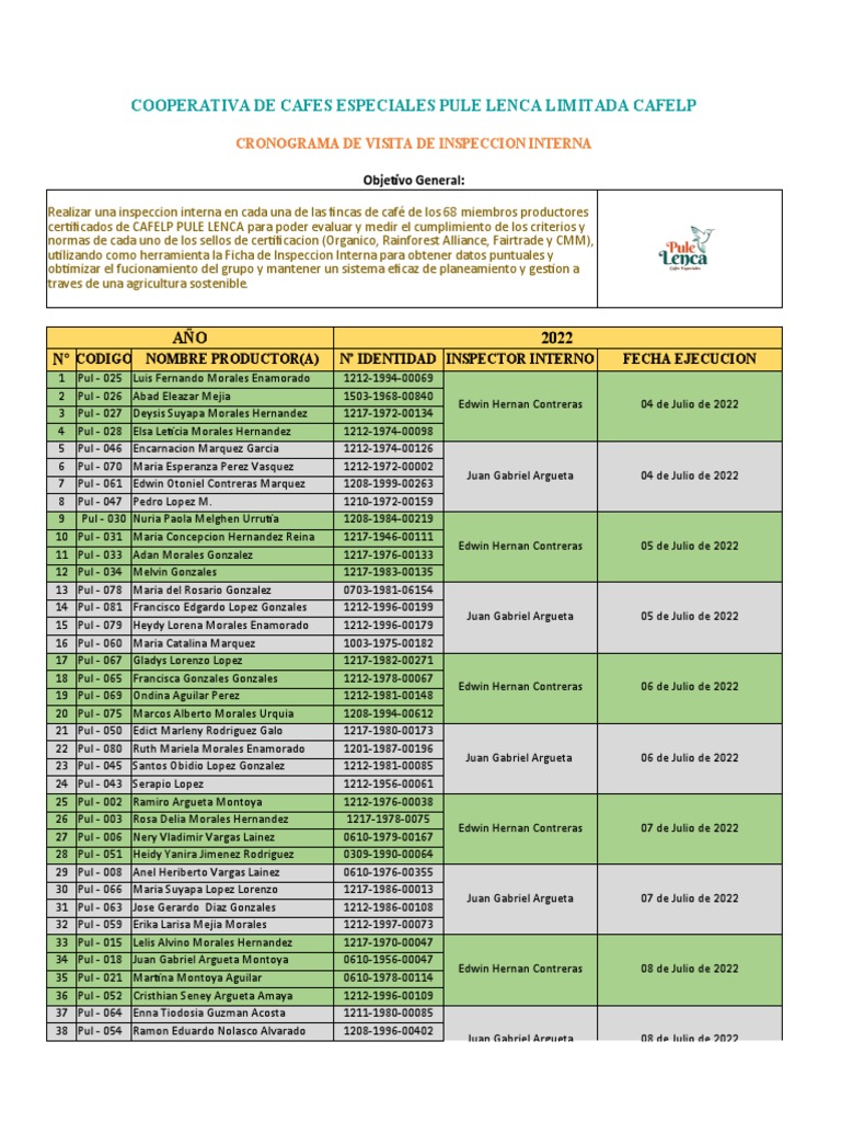 Plan de Inspeccion Interna 2022 | PDF