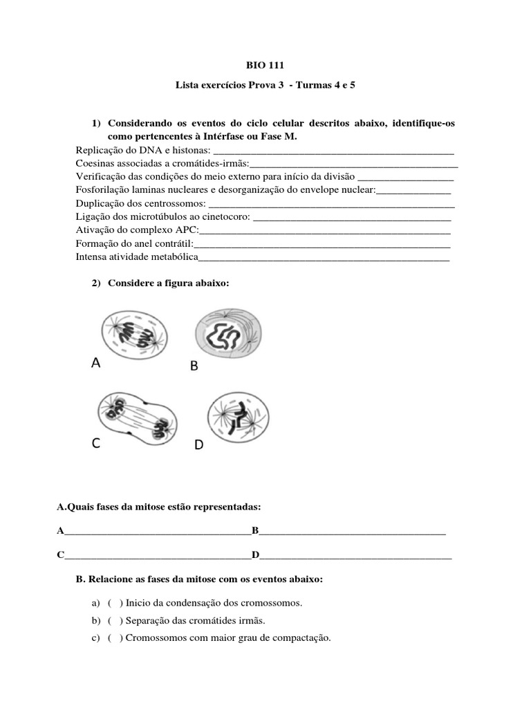Lista Exercícios Prova 3 Bio 111 Ufv | PDF | Mitose | Célula (Biologia) Lista Exercícios Prova 3 Bio 111 Ufv | PDF | Mitose | Célula (Biologia)