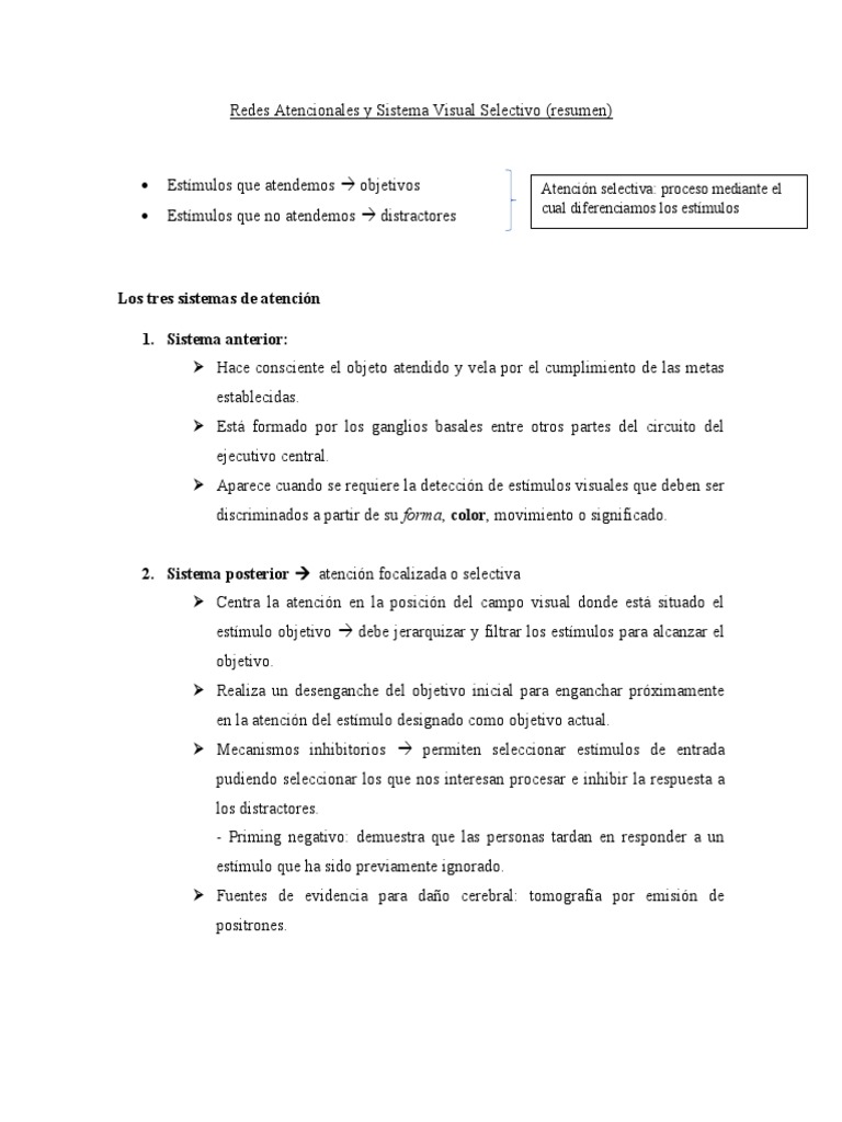 Sistemas de Atención y Visual Selectiva | PDF | Cerebro | Sistema visual