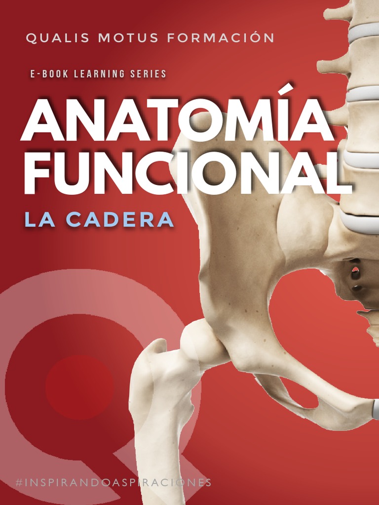 Ebook Cadera | PDF | Pelvis | Bipedalismo