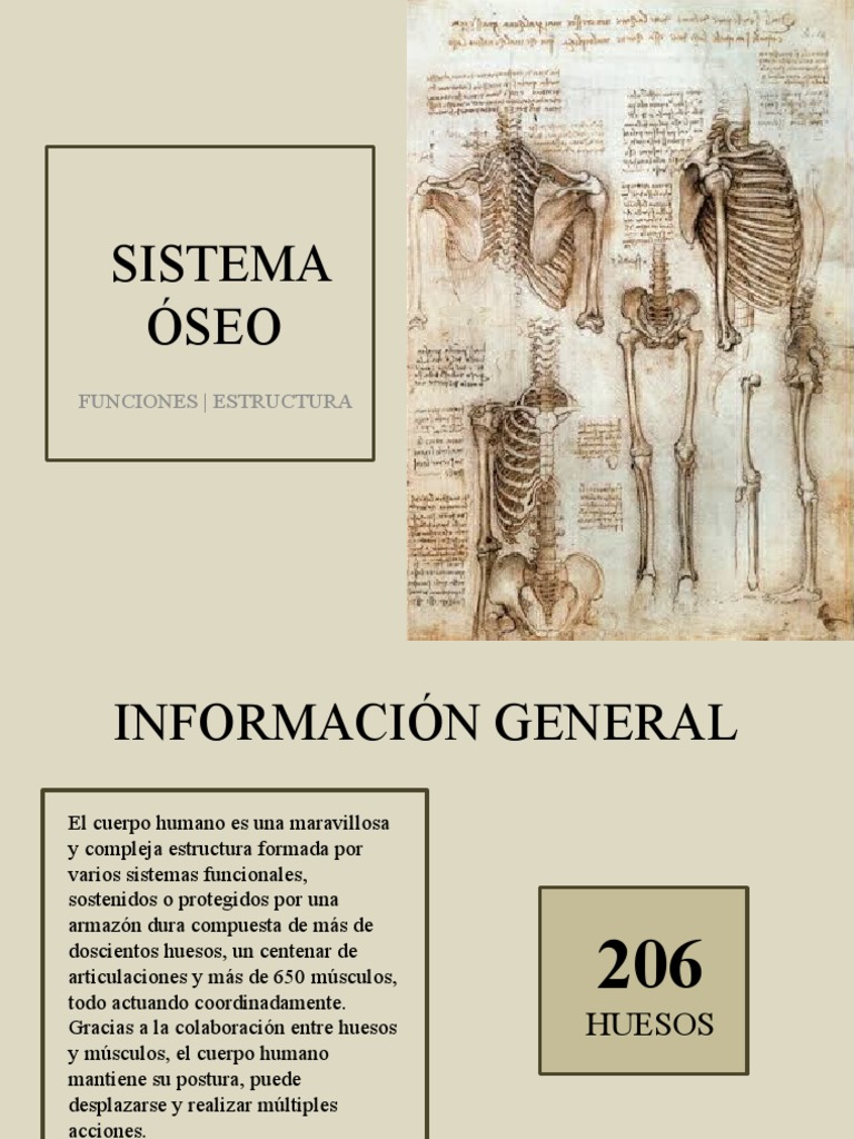 Sistema óseo Pdf