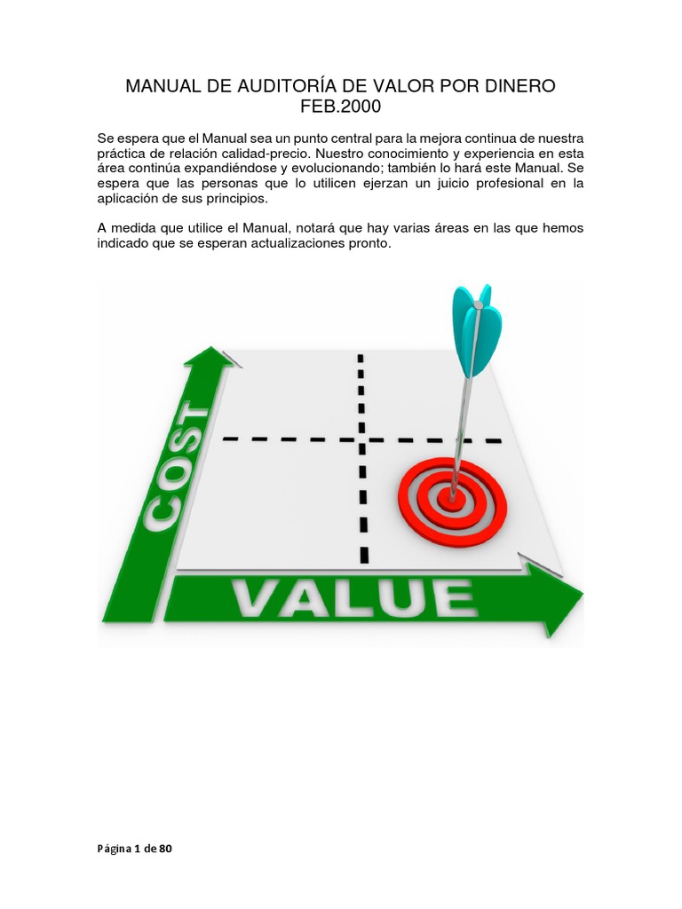 Manual de Auditoría de Valor por Dinero | PDF | Auditoría | Planificación