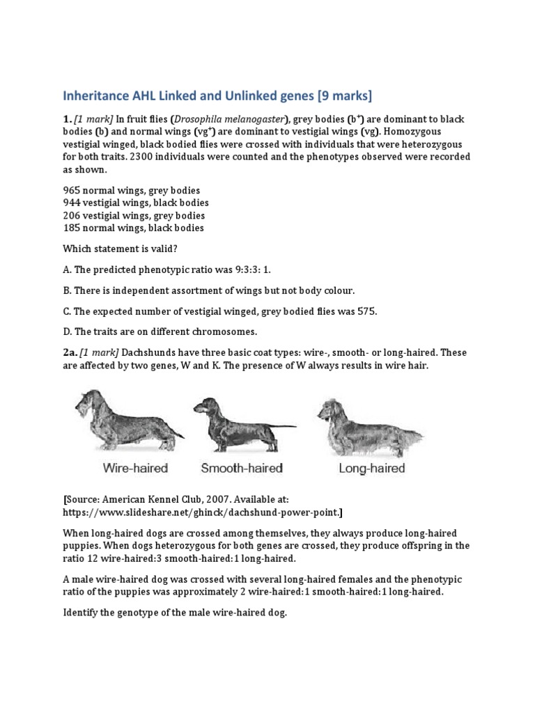 Inheritance AHL Linked and Unlinked Genes | PDF | Biological Evolution ...