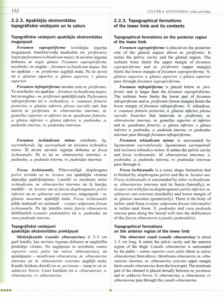 Cilveka Anatomija 152 211 | PDF