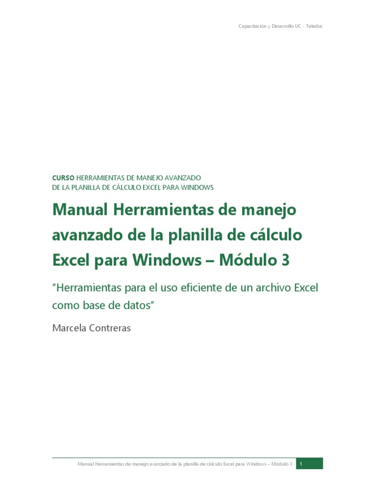 Módulo 3 - Manual Excel Avanzado | PDF | Microsoft Excel | Hoja de cálculo