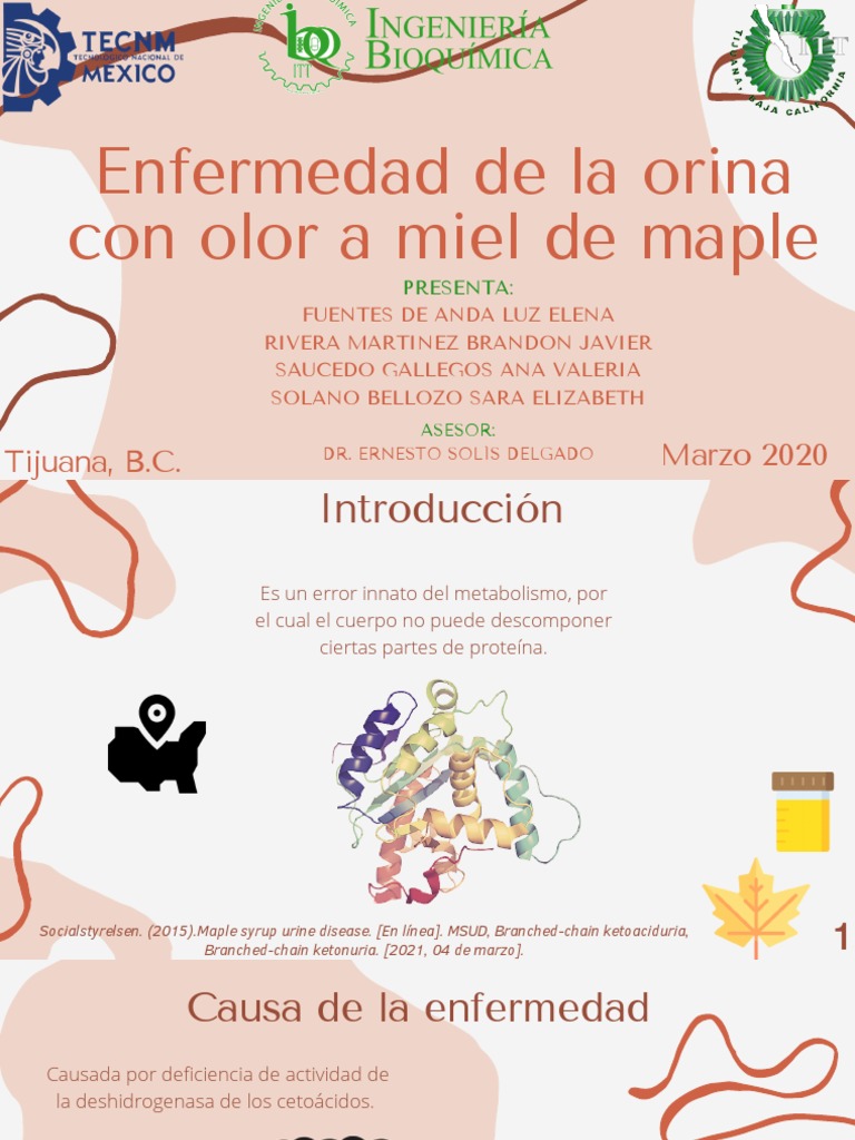 Enfermedad de La Orina Con Olor A Miel de Maple | PDF | Bioquímica ...