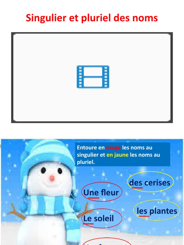 Singulier Et Pluriel Des Noms | PDF