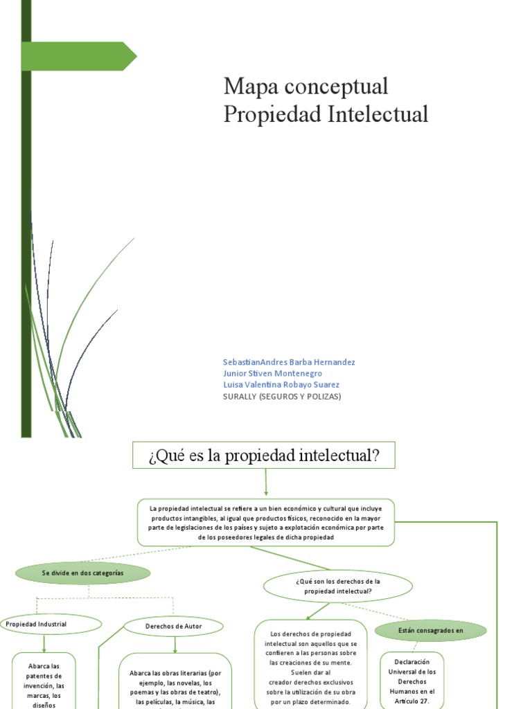 Mapa Conceptual Polizas y Seguros | PDF | Propiedad intelectual