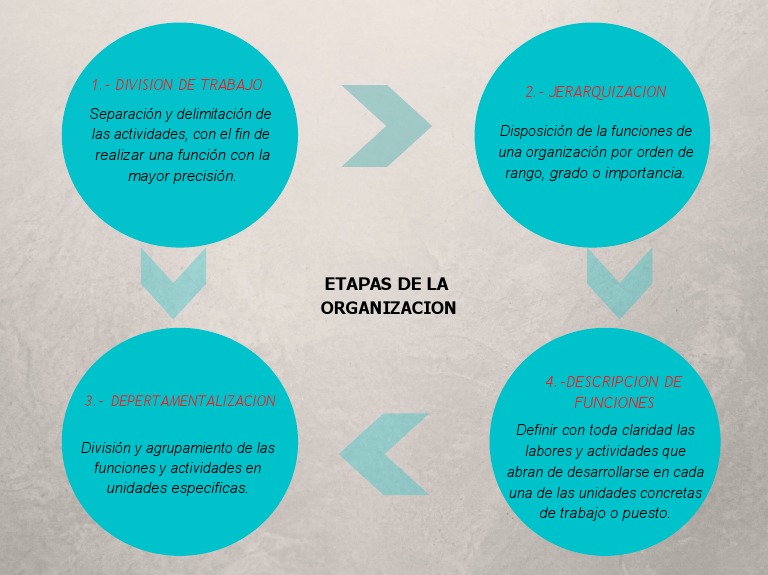 Etapas de La Organizacion | PDF