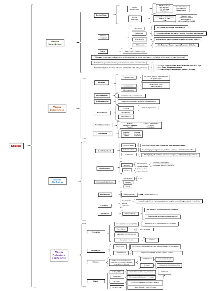 Micosis Cuadro Sinóptico | PDF | Condiciones cutáneas | Medicina Veterinaria