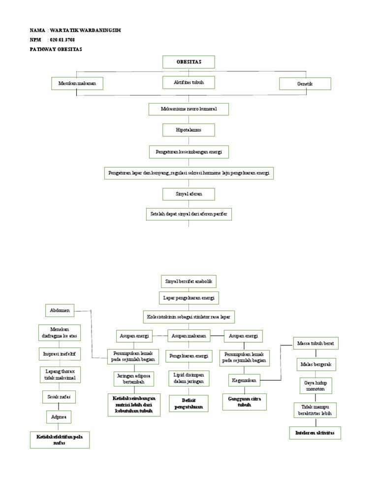 Pathway Obesitas | PDF