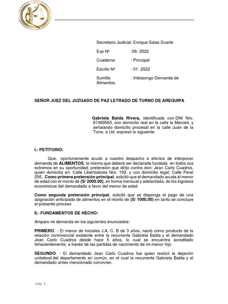 Demanda de Alimentos | PDF | Demanda judicial