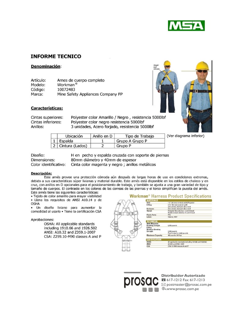 Workman Msa Arnes 10072483 | PDF
