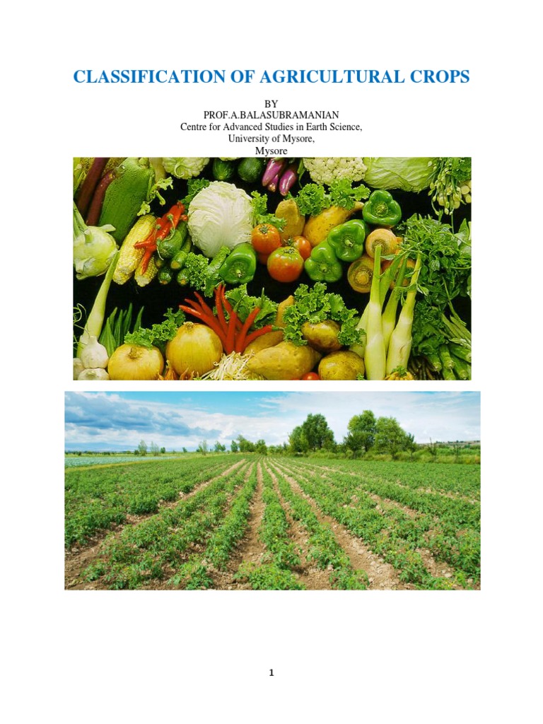 Classification of Agricultural Crops: Mysore | PDF | Plants | Legume