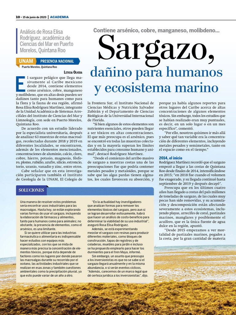 Nota. Sargazo. Metales Pesados | PDF | Agua | Química