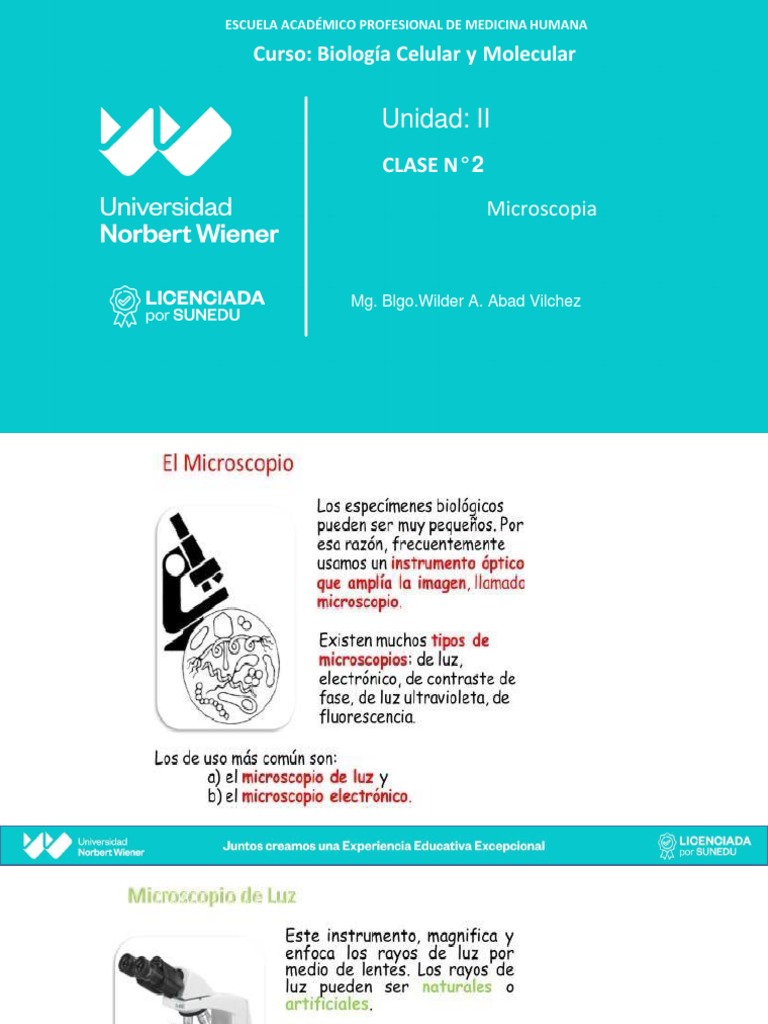 Practica 2 - Micros | PDF | Óptica | Microscopio