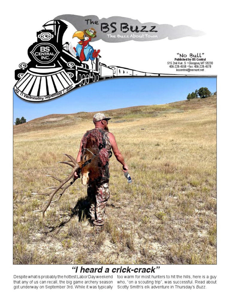 BS Buzz | PDF | Hillary Clinton | American Government